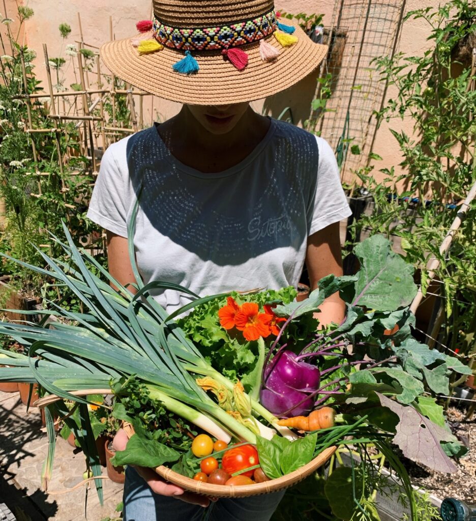 ISLA SITOPIA - Sitopia